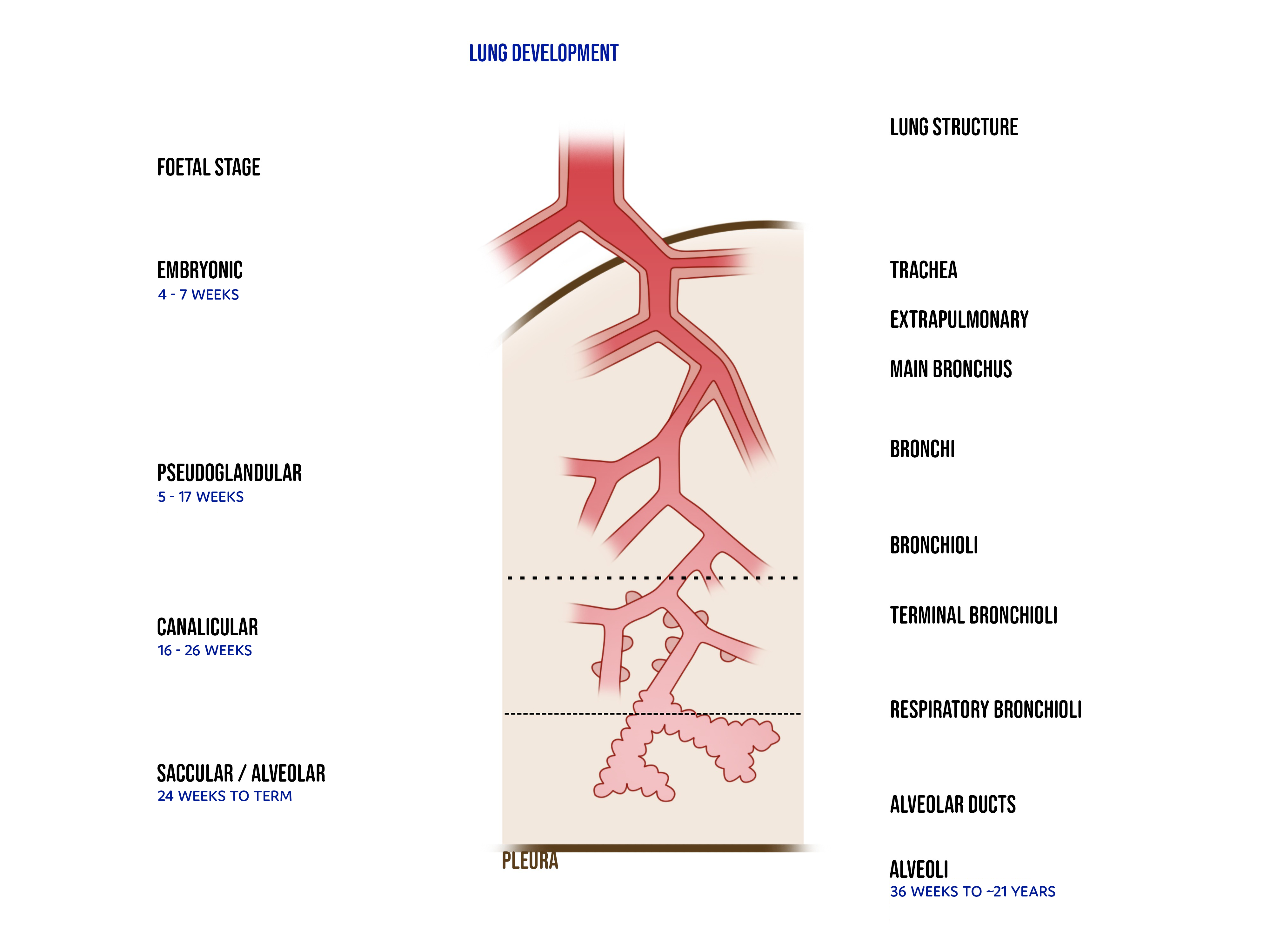Week 7 - Lozier Institute
