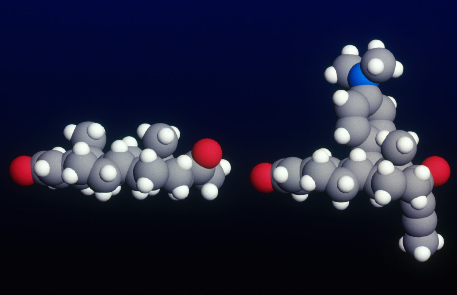 Primer: The Basic Biochemistry of Abortion Pill Reversal - Lozier Institute