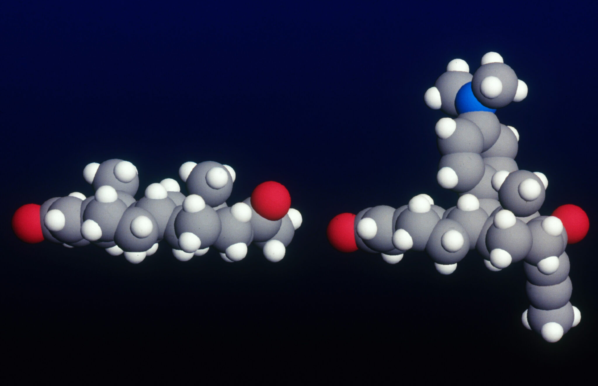 Primer: The Basic Biochemistry of Abortion Pill Reversal - Lozier Institute