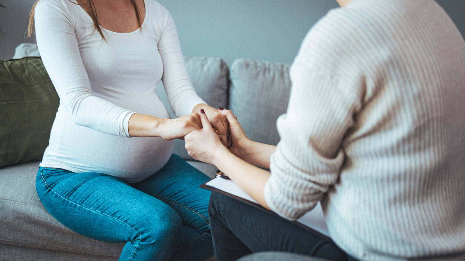 Fact Sheet: State Alternatives to Abortion Funding - Lozier Institute